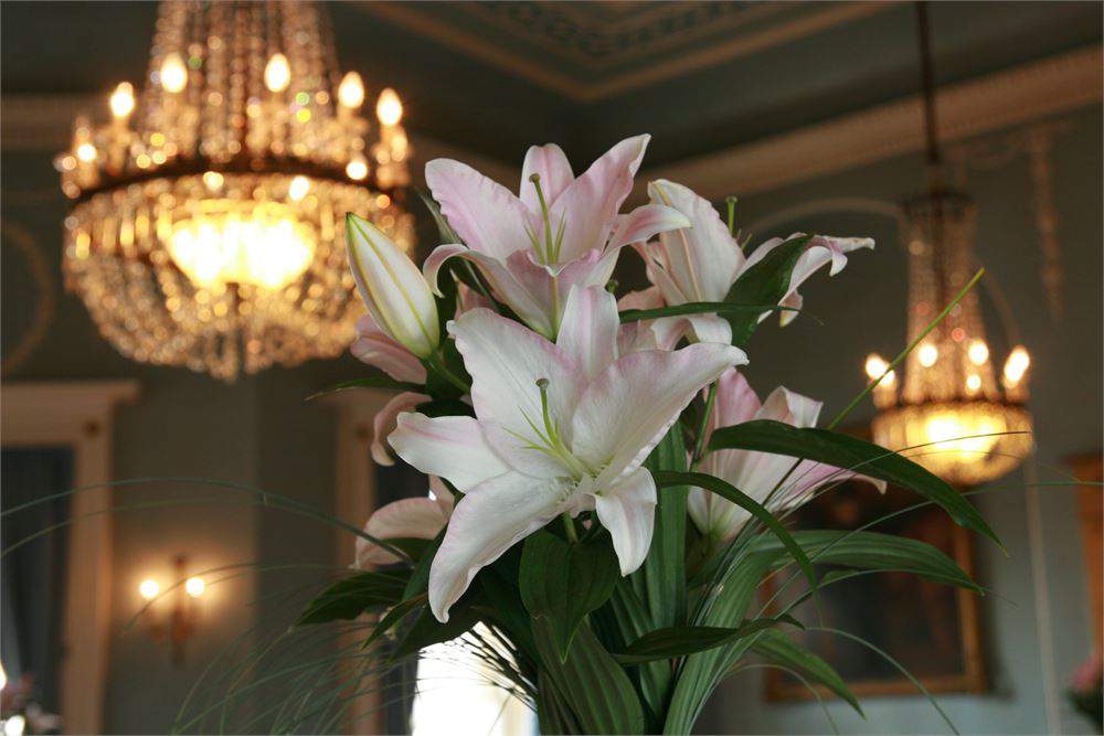 Devizes Venue’s Town Hall Wedding Venue Devizes, Wiltshire