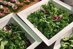 Berrow Court Wedding Venue Birmingham, West Midlands