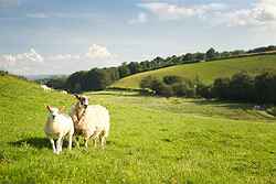 Carfraemill Wedding Venue Lauder, Lothian & Borders