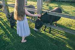 Charnock Farm Wedding Venue Leyland, Lancashire