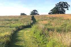 Northumberland Wedding Venues | Hallington Mill at Real Weddings