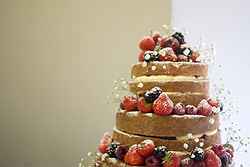 Hammet House Wedding Venue Near Cardigan, Pembrokeshire