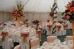 Newland Hall Wedding Venue Chelmsford, Essex