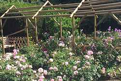 Nurstead Court Wedding Venue Meopham, Kent