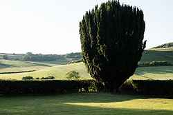 Plush Manor Wedding Venue Dorset, Dorset