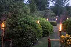 Plush Manor Wedding Venue Dorset, Dorset