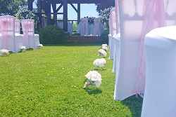 Prested Hall Wedding Venue Colchester, Essex