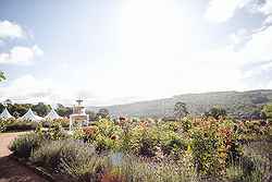 Pynes House Wedding Venue Exeter, Devon