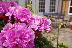 Test Valley Golf Club Wedding Venue Basingstoke, Hampshire