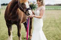 The Beverley Barn Wedding Venue Beverley, East Riding of Yorkshire