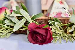 The Hanmer Arms Wedding Venue Wrexham, Shropshire